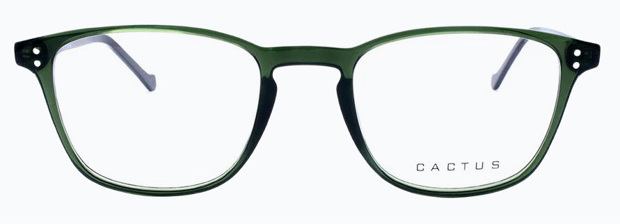 Cactus Pontiac Eyeglasses