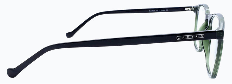 Cactus Pontiac Eyeglasses